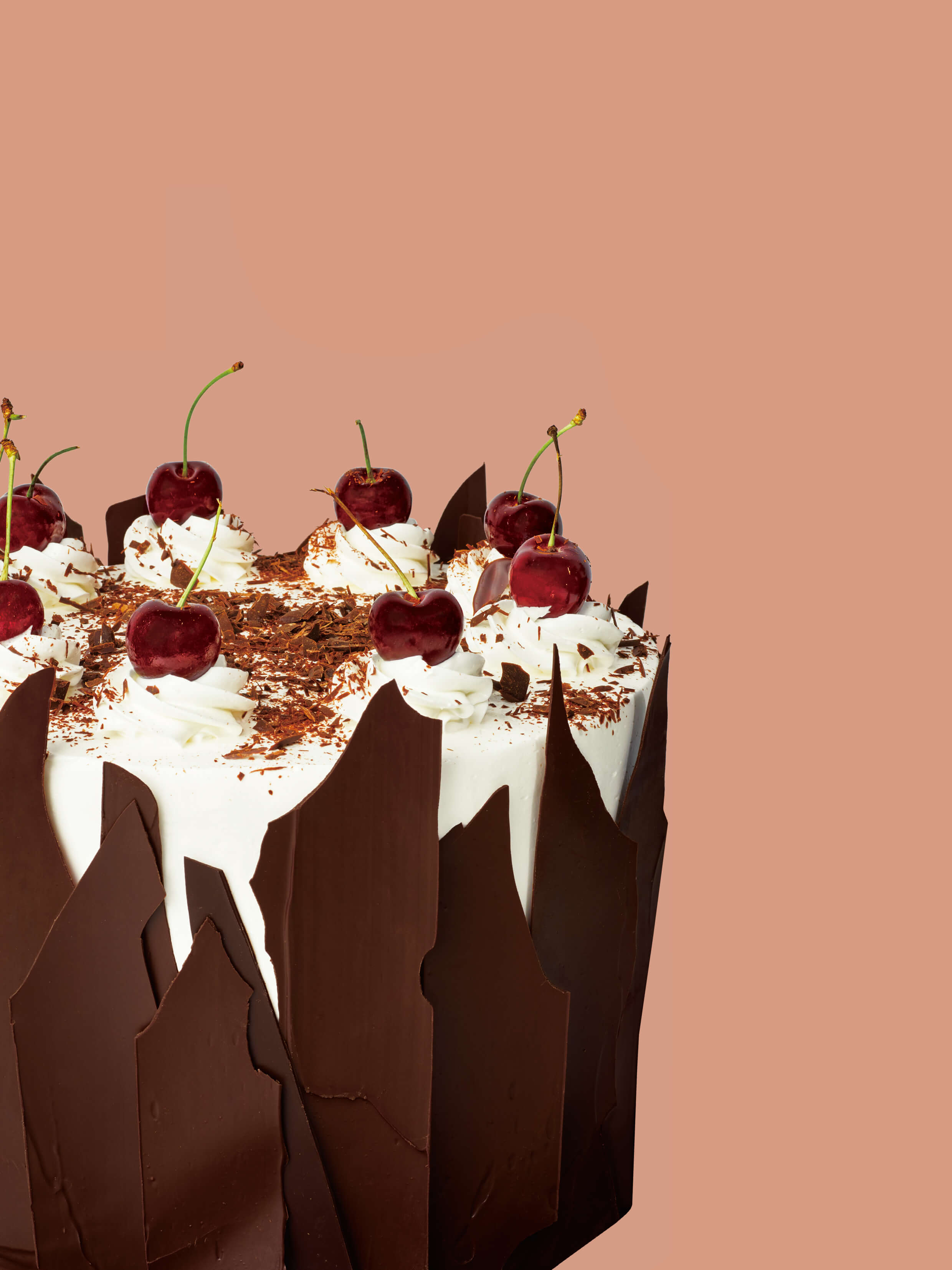 2019 AUTUMN COLLECTION LOOK BOOK｜gelato pique (ジェラートピケ)公式サイト